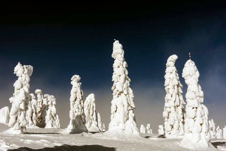 Winter Harmony Photography by Csaba Balasi | Saatchi Art