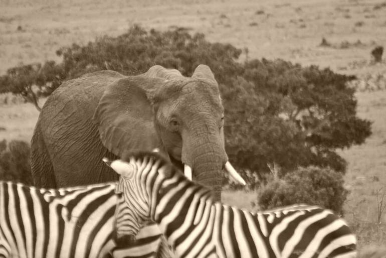 Old African Heritage Art Photography by Kiarie Mathaga | Saatchi Art