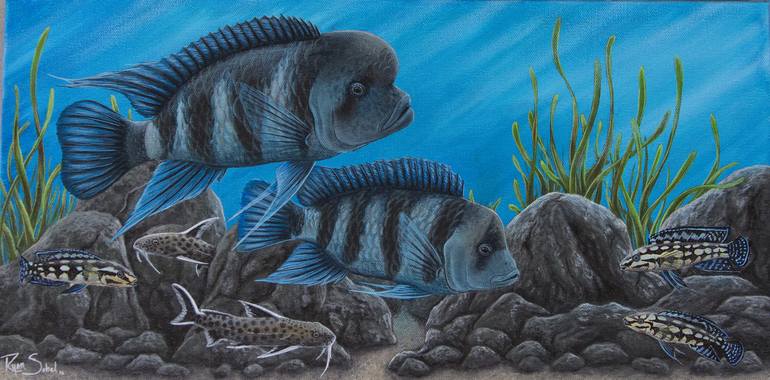 African Cichlids Painting by Ryan Sobel | Saatchi Art