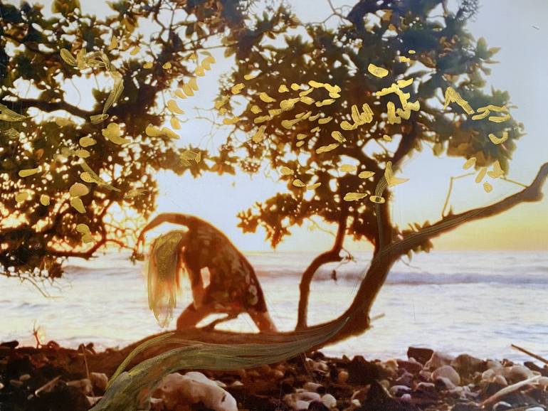 Biomimicry - Limited Edition of 1 Photography by Lucille Whitaker ...