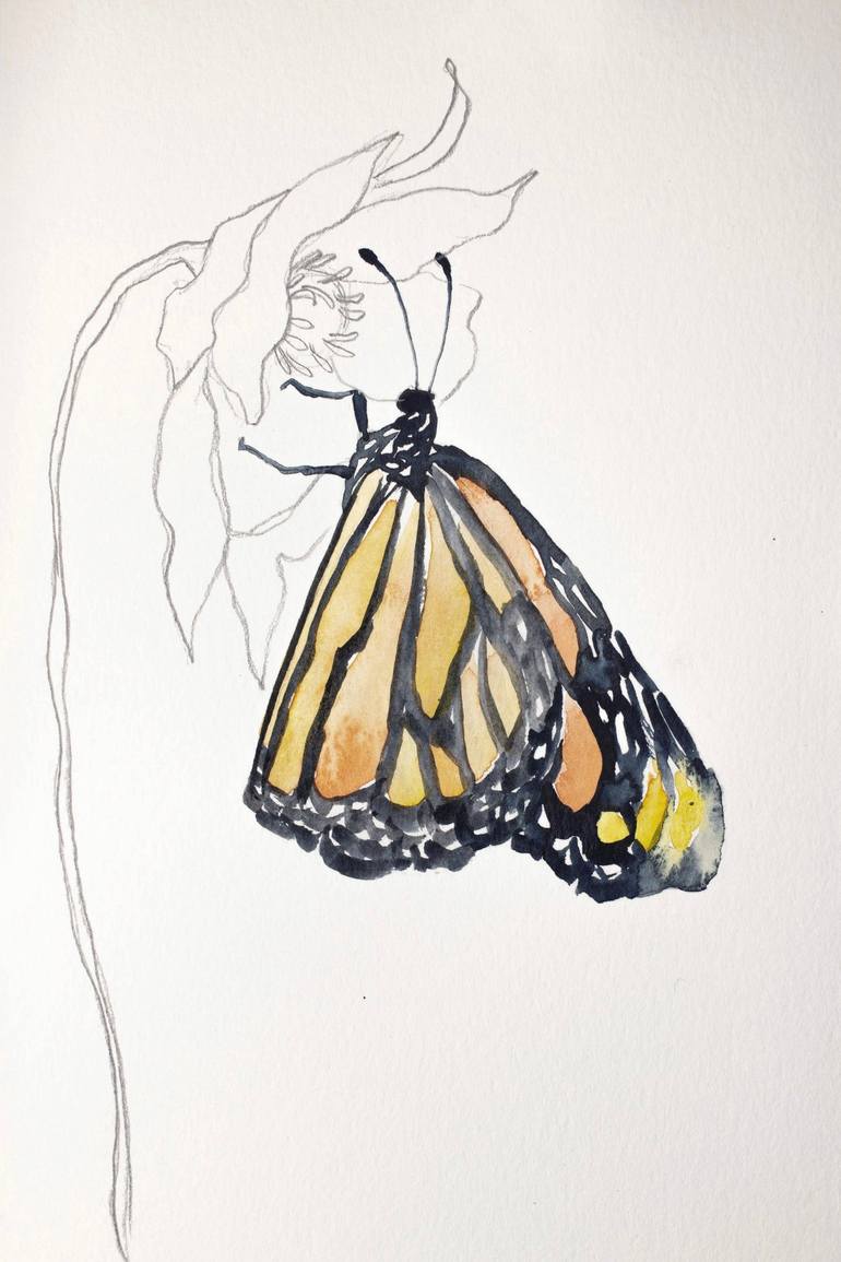 Monarch Study No. 5 Painting by Elizabeth Becker | Saatchi Art