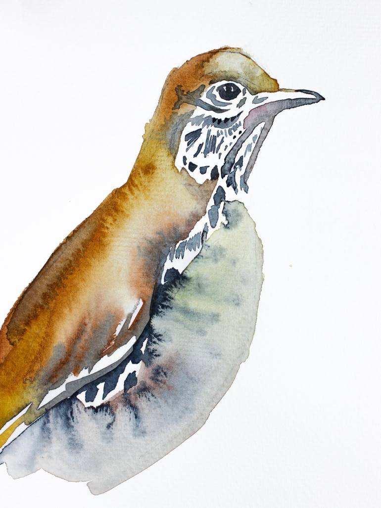 Wood Thrush Painting by Elizabeth Becker | Saatchi Art