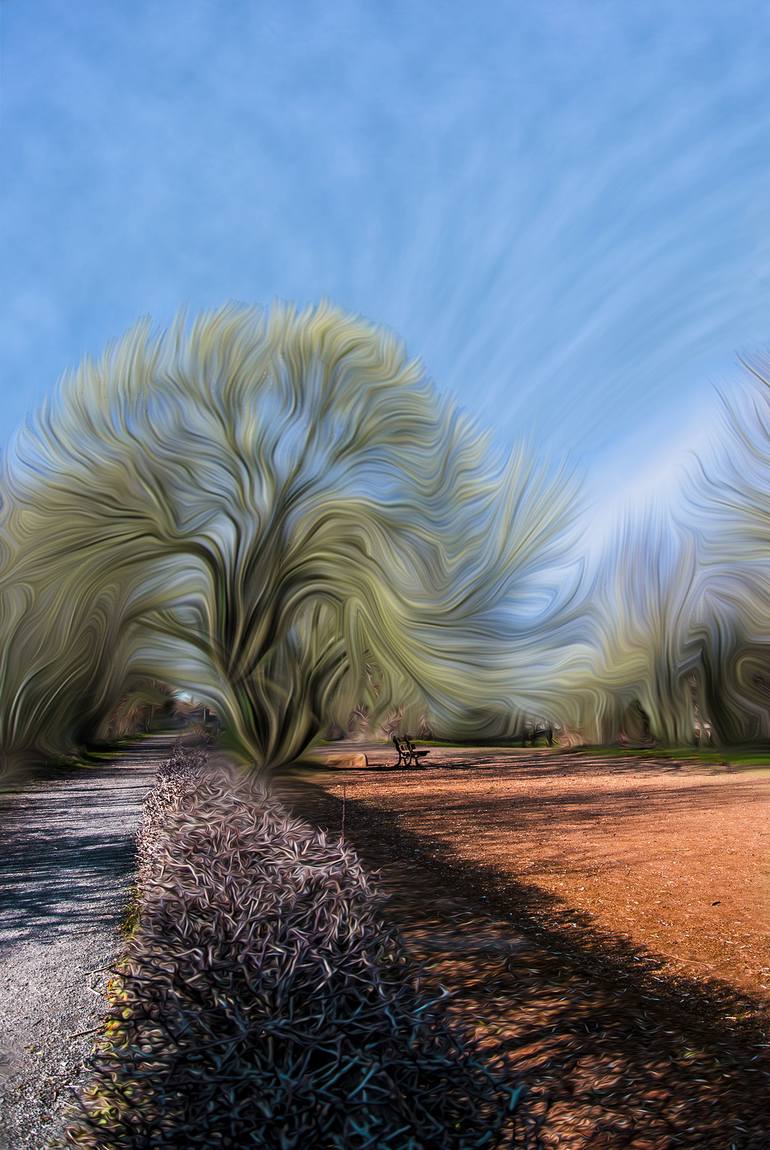 Not Yet Spring II - Limited Edition of 100 Photography by Dr Martín ...