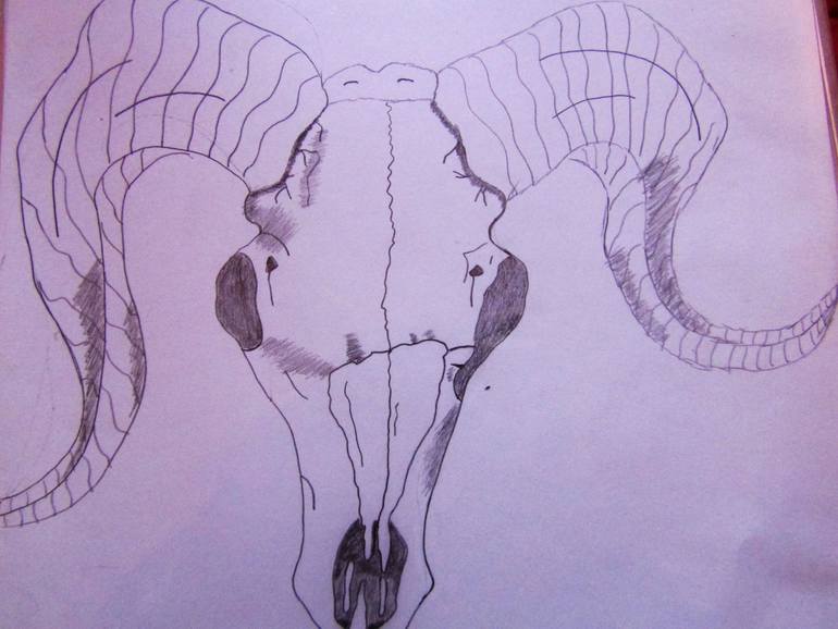 Museum Quality Image Native Rams Head Drawing by sabrina mejias ...