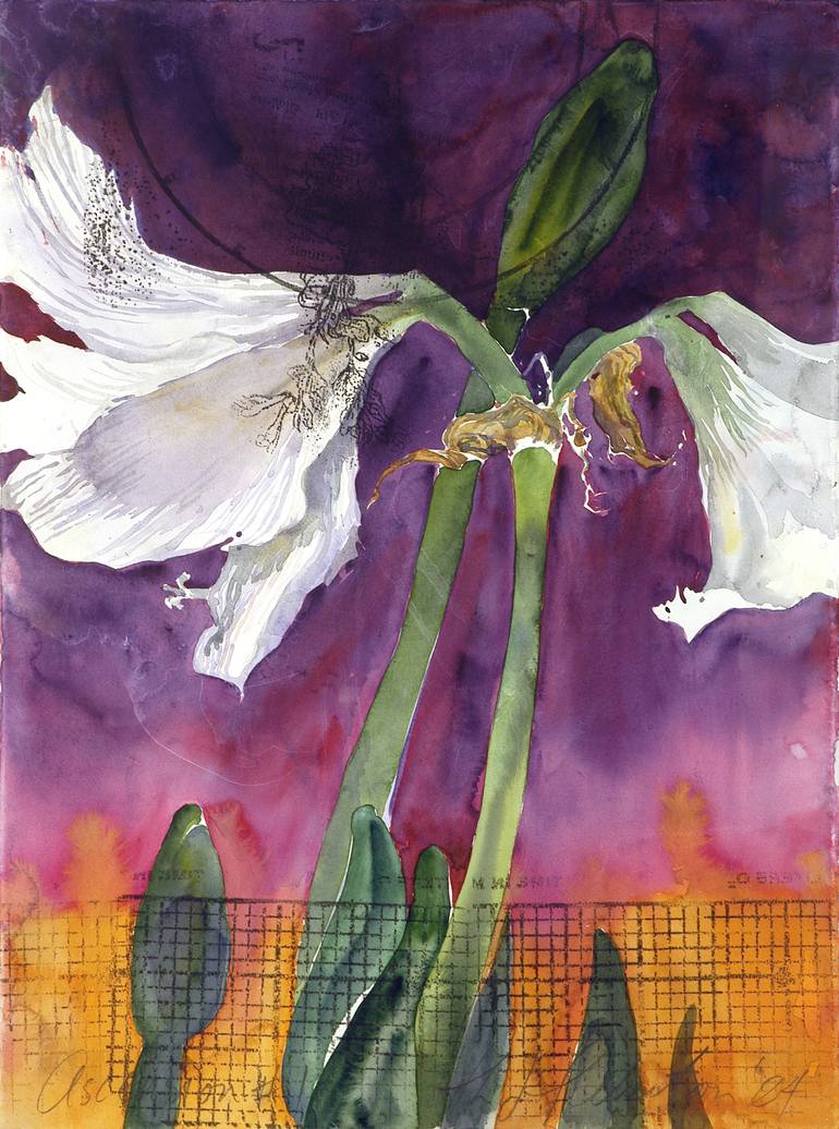 LFDM (white amaryllis) Painting by Thomas Gilbertson | Saatchi Art