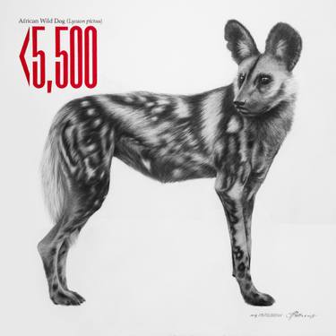 Peter Matthews | Saatchi Art