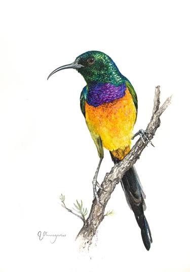 Andre Olwage | Saatchi Art