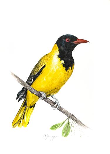 Andre Olwage | Saatchi Art