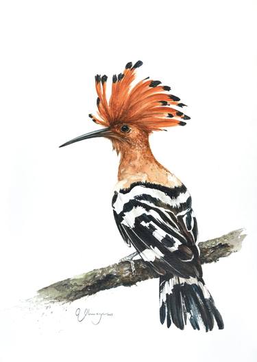 Andre Olwage | Saatchi Art