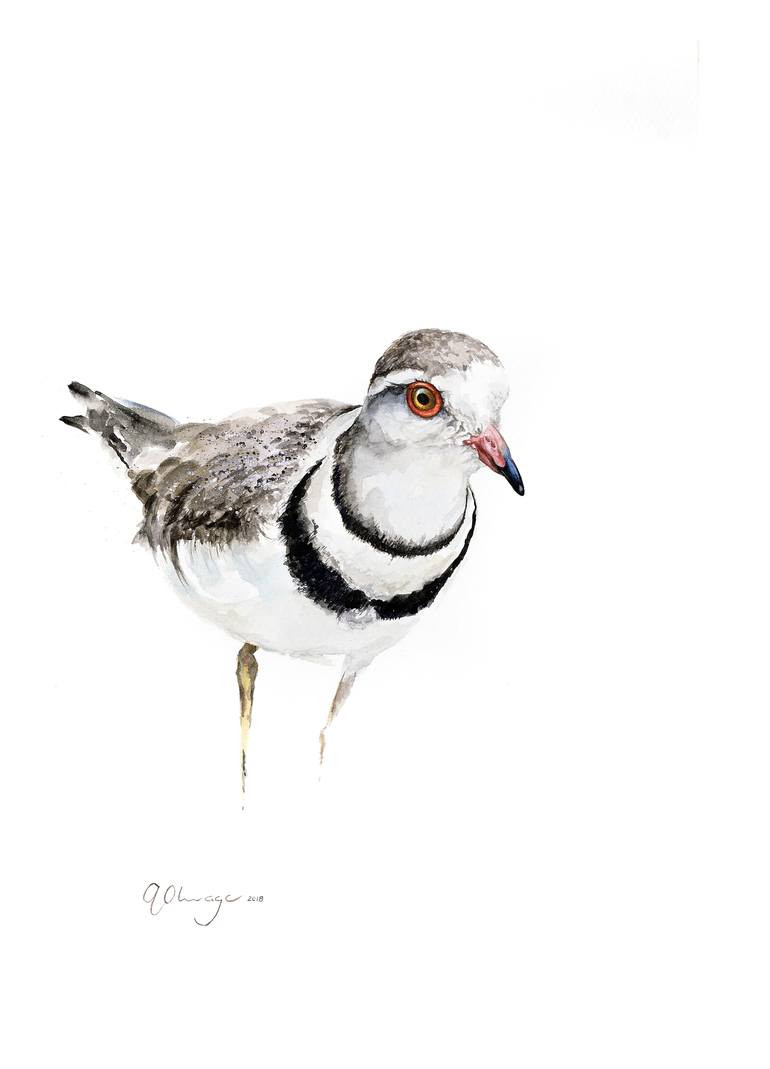 Three Banded Plover Painting by Andre Olwage | Saatchi Art