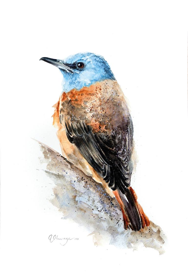 Cape Rock Thrush male Painting by Andre Olwage | Saatchi Art