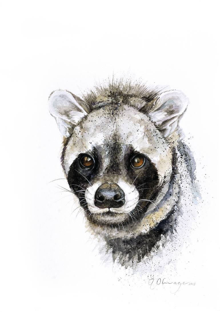African Civet Painting by Andre Olwage | Saatchi Art