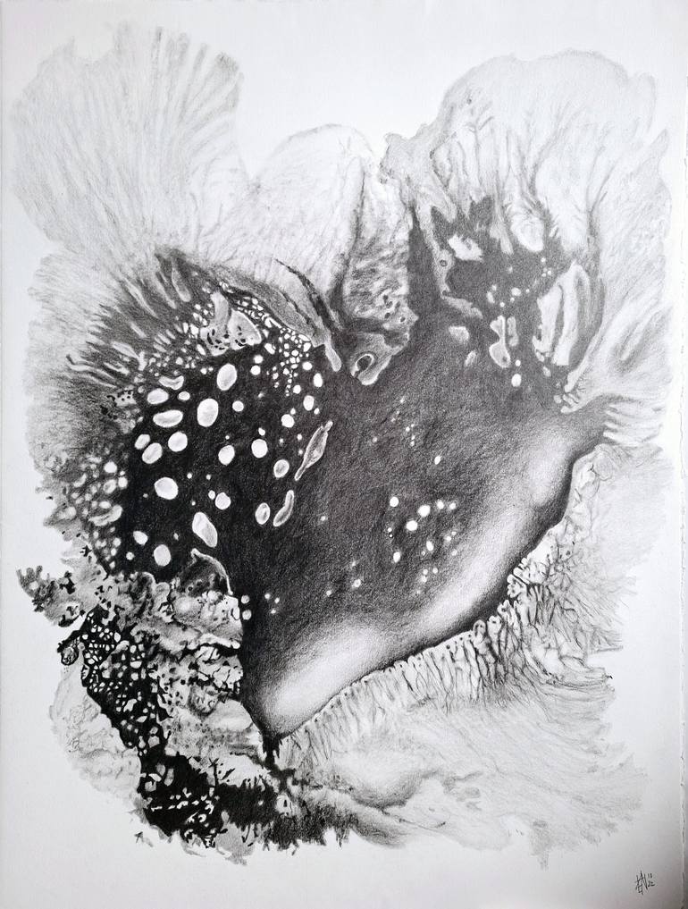 BIOTOPE 1 Drawing by Agnès Antonio | Saatchi Art