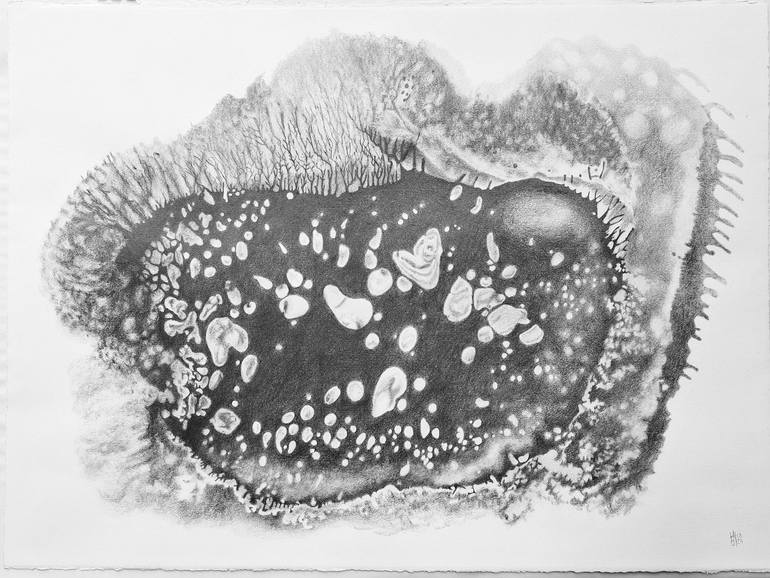 BIOTOPE 5 Drawing by Agnès Antonio | Saatchi Art