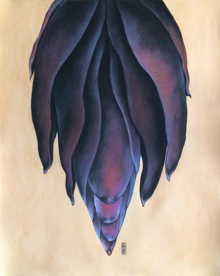 BANANA FLOWER Drawing by Anna Sofie Blincoe | Saatchi Art