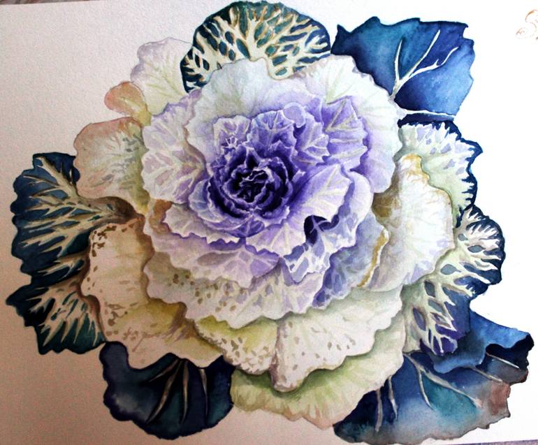 Esfagan cabbage Painting by Shone Lorenza | Saatchi Art