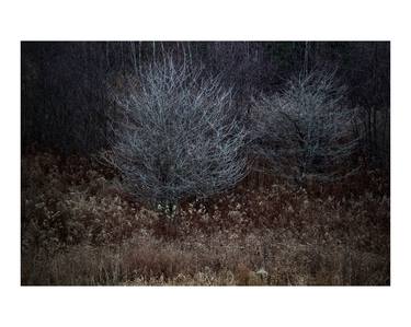 Robert Ruscansky Artworks | Saatchi Art