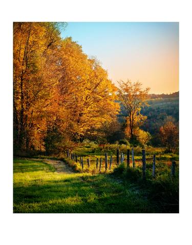 Robert Ruscansky Artworks | Saatchi Art