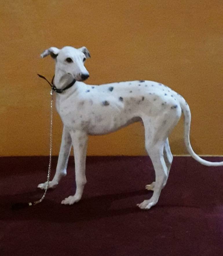 Standing spotted greyhound Sculpture by Marina D'Aragona | Saatchi Art