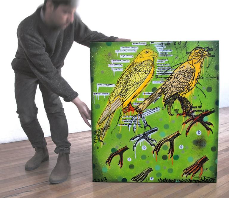 bird diagram. Printmaking by tan Vargas | Saatchi Art