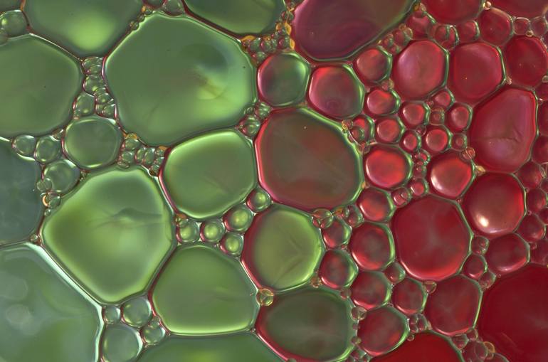 Alien Blood Photography by RDN Photography | Saatchi Art