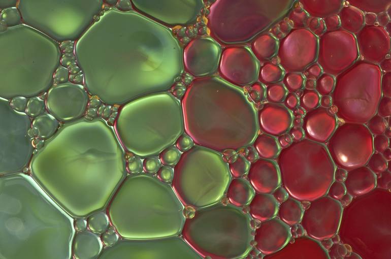 Alien Blood Photography by RDN Photography | Saatchi Art