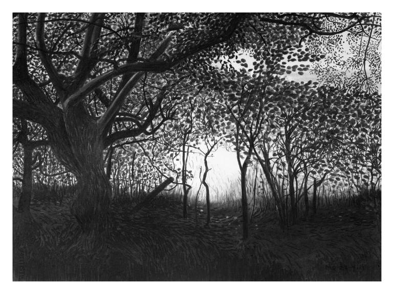 A Gap In The Hedge Drawing by Mossie Quille | Saatchi Art