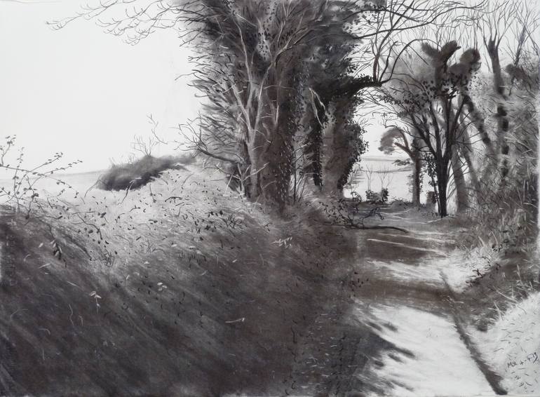 Path, Late Afternoon Sunlight *SOLD* Drawing by Mossie Quille | Saatchi Art