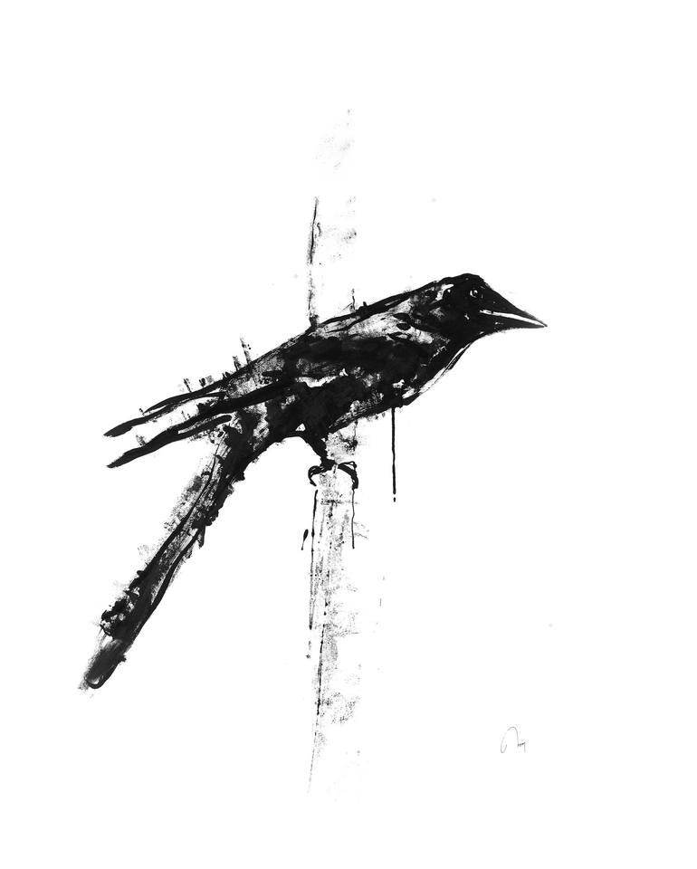 black bird II Drawing by Bertrand Neuman | Saatchi Art