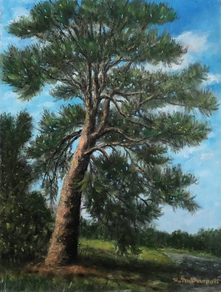 THE OLD RUGGED PINE - oil 13X10 Painting by Kathleen McDermott ...