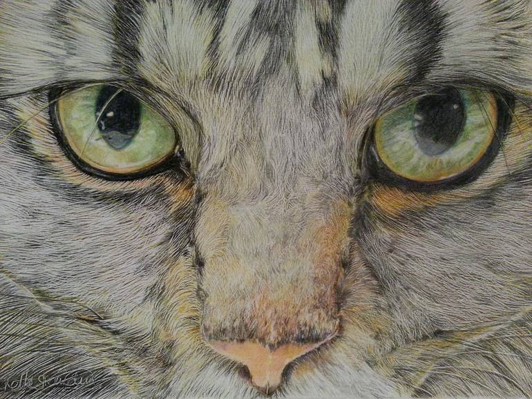 1000 yard stare Drawing by Annette Standing | Saatchi Art