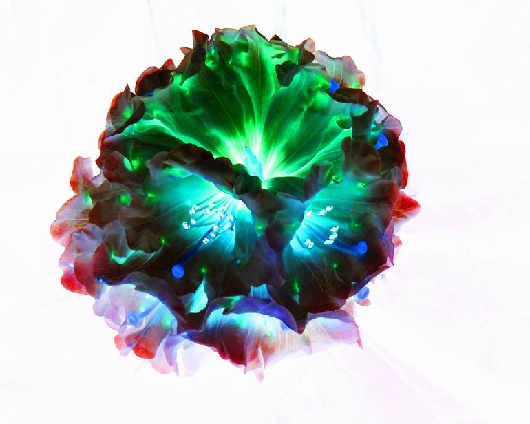 MC99 - Limited Edition 1 of 1 Photography by Stephen Lewis | Saatchi Art