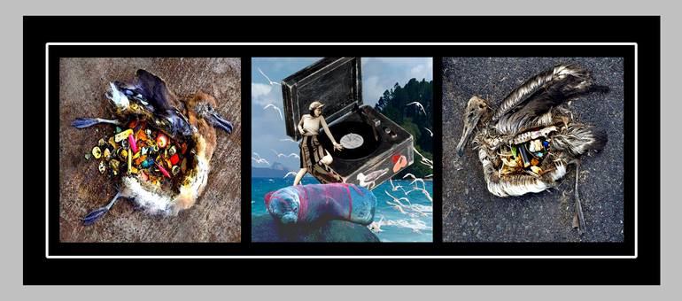 The Plastics Detective Tryptic Collage by Chaffyn Lovejoy | Saatchi Art