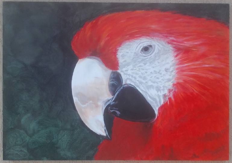 Arara pantaneira Painting by Flavio Necchi | Saatchi Art