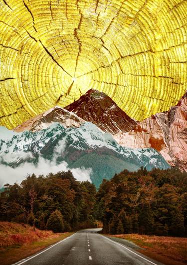 Alexandra Gallagher Artworks | Saatchi Art