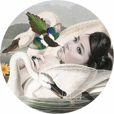 Alexandra Gallagher Artworks | Saatchi Art