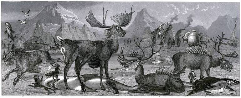 Bestiary Collage by Axelle Kieffer | Saatchi Art