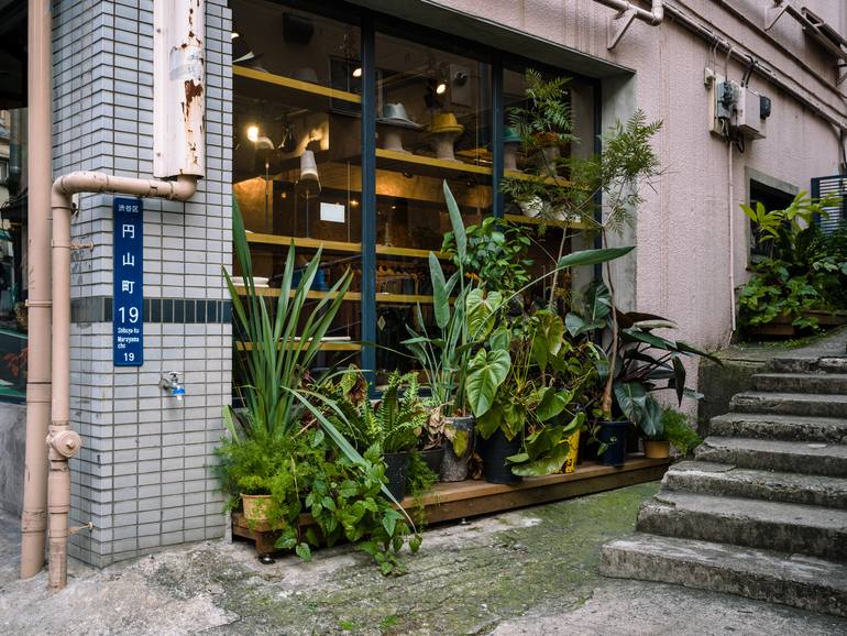 Outdoor plants decor in Shibuya Photography by Chee Sim | Saatchi Art
