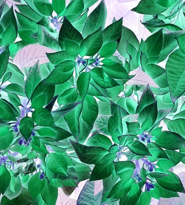 Flowers And Plants Series No. 5 Digital by Mona Vayda | Saatchi Art