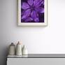 Purple Lily No. 2 - Limited Edition of 10 Photography by Mona Vayda ...