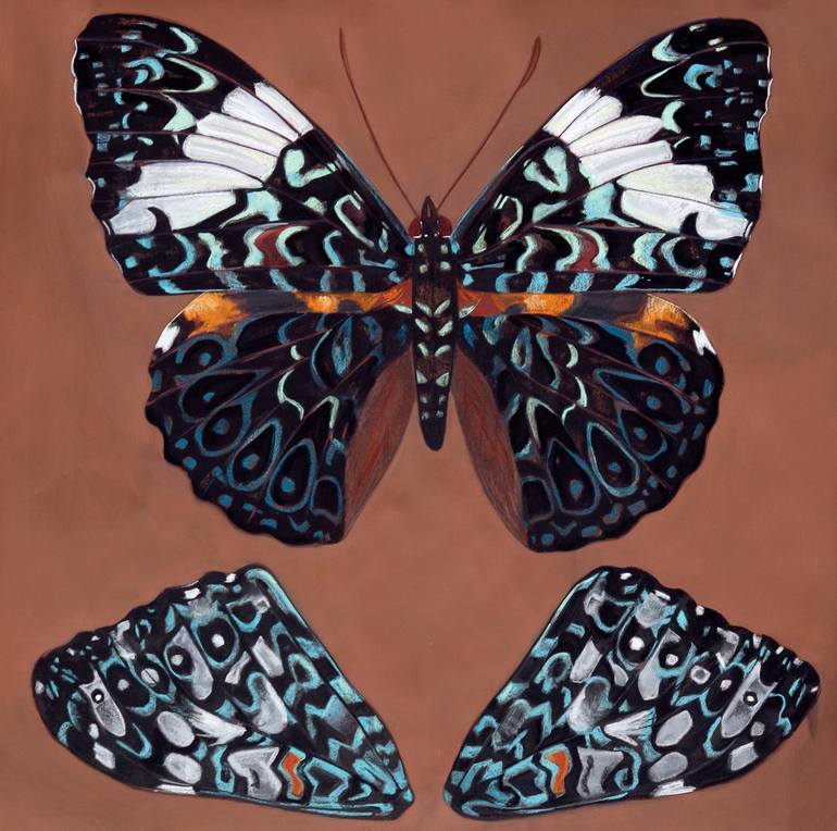 Hamadryas amphinome (the red cracker) Painting by Malwina Jachimczak ...