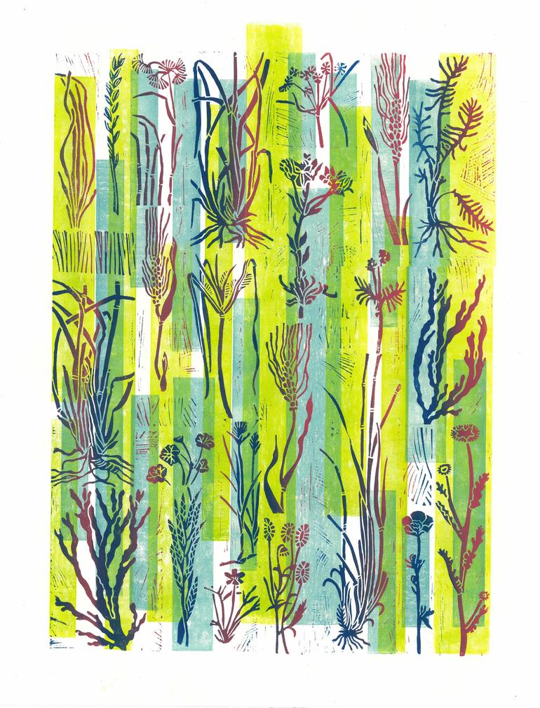 Summer Botanical - Limited Edition 3 of 5 Printmaking by Margaret ...