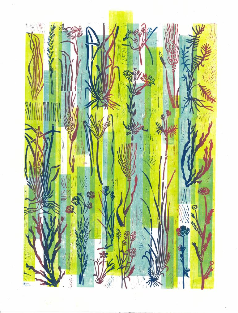 Summer Botanical - Limited Edition 3 of 5 Printmaking by Margaret ...