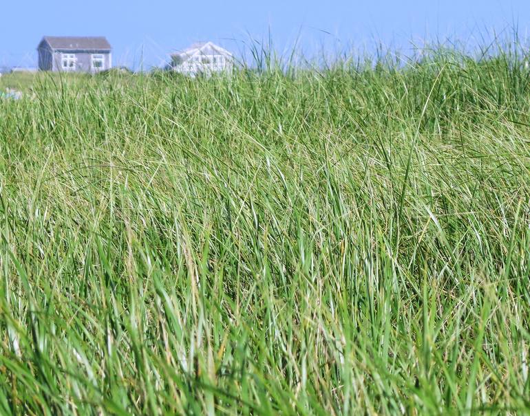 Ocean Grass - Limited Edition 1 of 25 Photography by Moda Monterotti ...