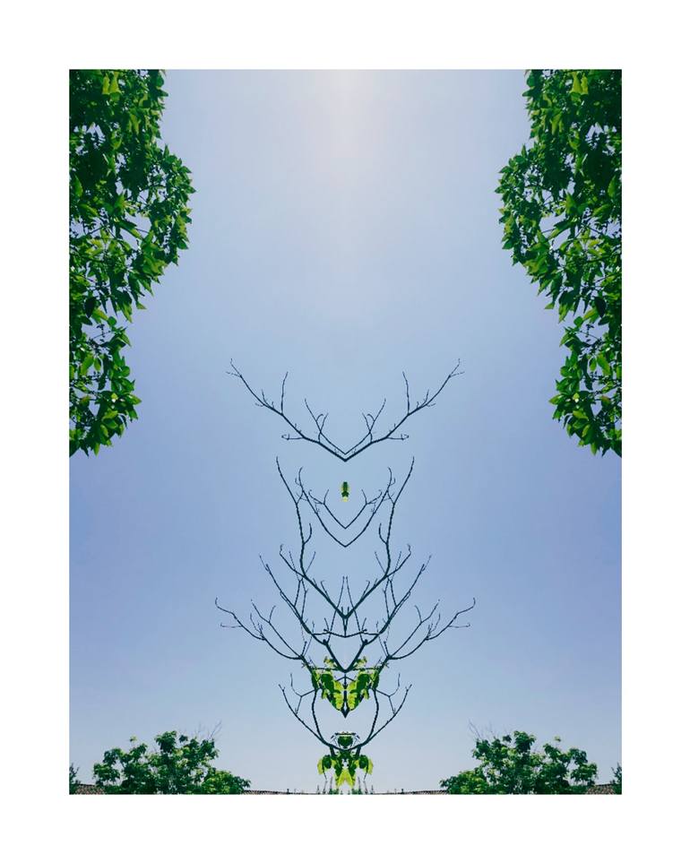 Morning Guidance Photography by Sandra Roberts | Saatchi Art