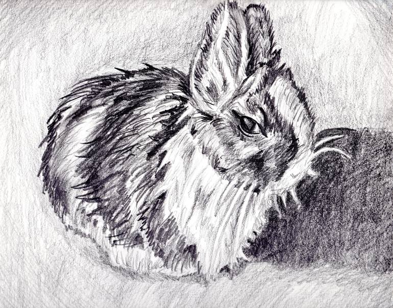 Scraggly Bunny Drawing by Krysta Logan | Saatchi Art