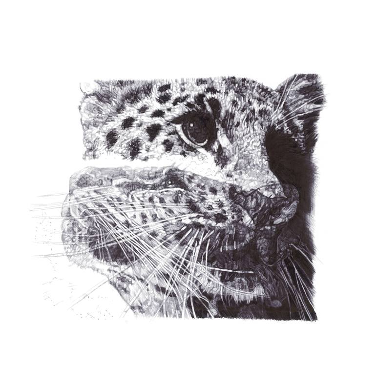 Our Loss | Amur Leopard 2013, In Homage to the Last Great Carnivores of ...