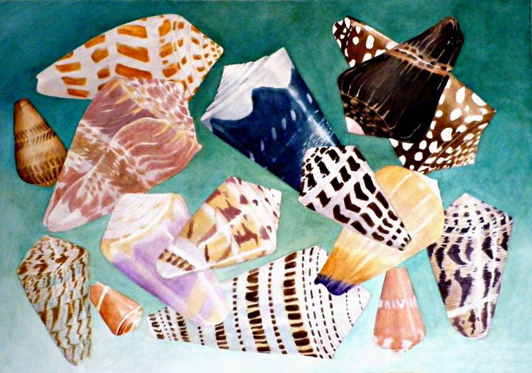 Cone Shells of the Seychelles Painting by Janet Summers | Saatchi Art