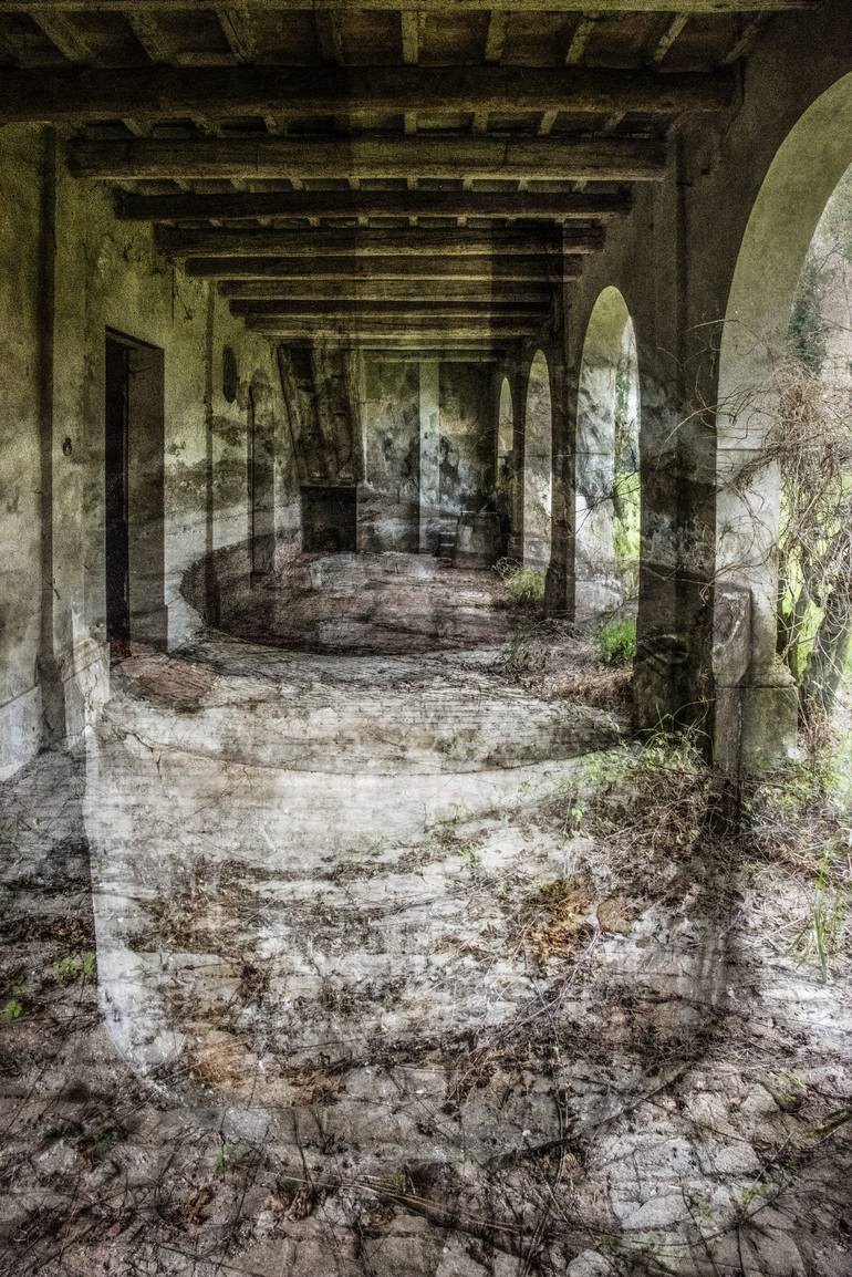 Il cucciolo - Limited Edition 1 of 5 Photography by Daniele Gozzi ...