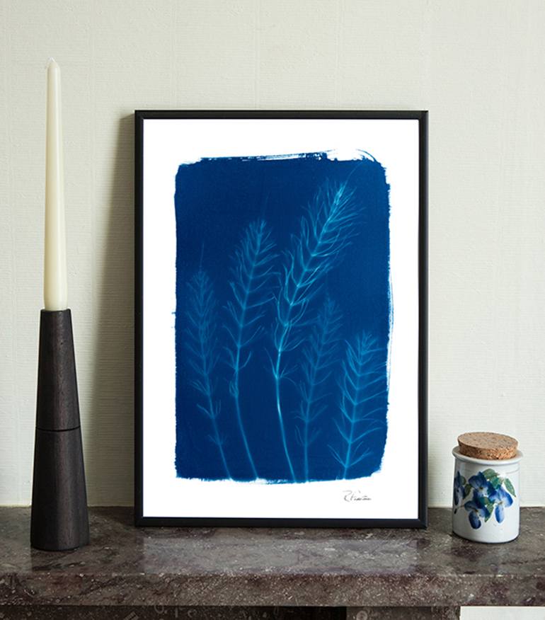 Hedgerow 1 - Limited Edition 3 of 150 Photography by Richard Freestone | Saatchi Art